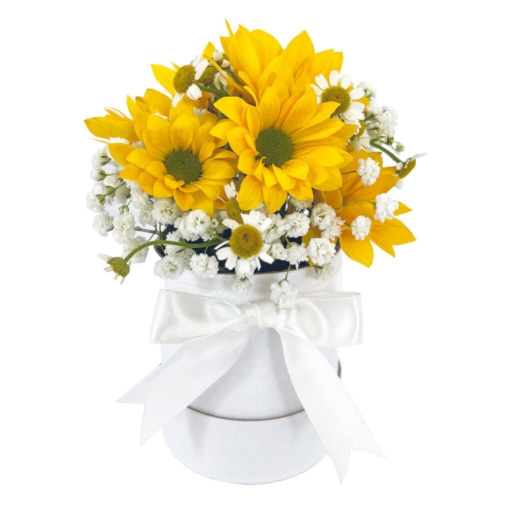 Mini Fresh Daisy Pom Pom Flower Box Partyperfect My